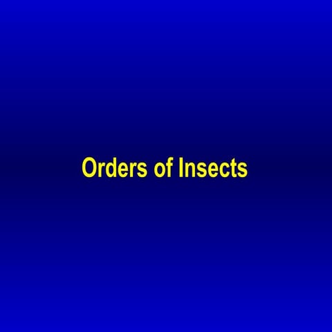 Polyneopteran Insect Orders.pptx
