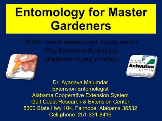 Different Sampling Techniques For Insect Population Estimation Ppt