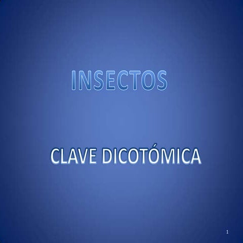 Insectos | PPT