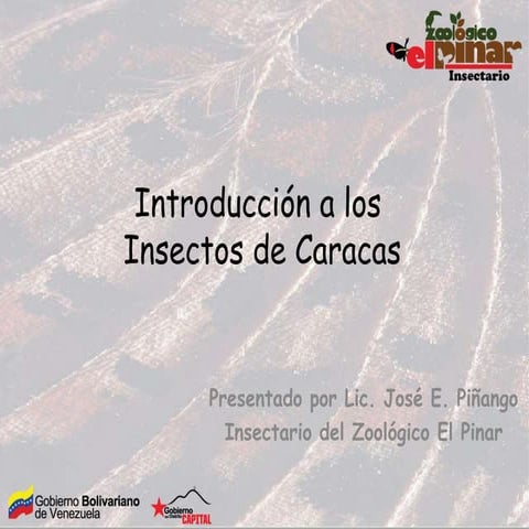 Introducción a los Insectos de Caracas. José Piñango. | PPTX