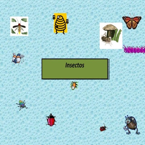 Insectos paulo | PPT