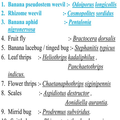 Insect Pest Of Banana Crop Pptx