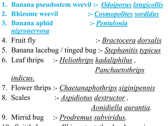 Insect Pest Of Banana Crop Pptx