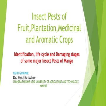 Insect Pests of Fruit,Plantation,Medicinal.pptx
