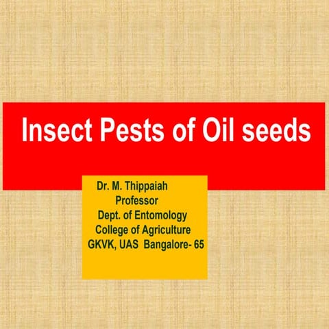 Insect pests of ground nut | PPT