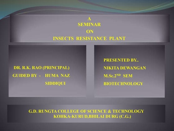 GOLDEN RICE; The genetically modified crop in India | PPT