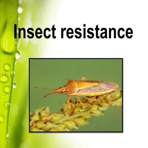 Insect resistance | PPTX