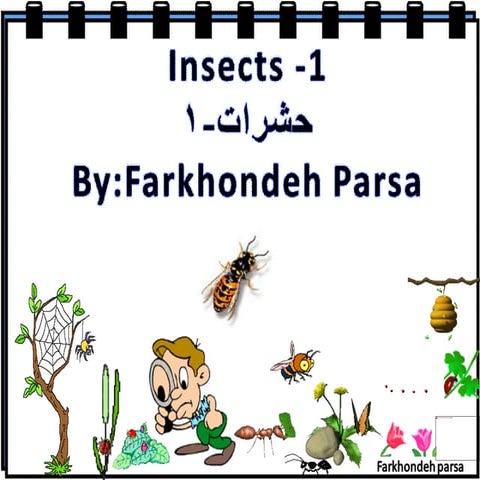 Insects - 1 | PPTX | Beekeeping | Hobbies & Interests