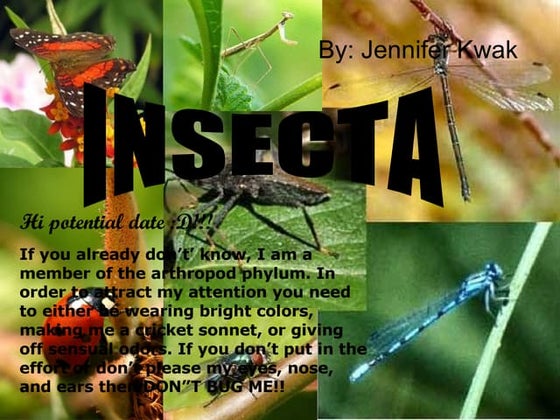 Graduate Intro | PDF