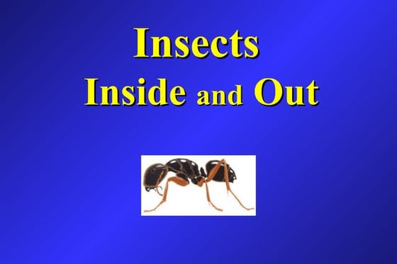 Introduction to Entomology | PPTX | Beekeeping | Hobbies & Interests