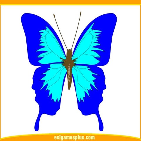 Flash Card Từ Vựng TOEIC Theo Chủ Để | Chủ đề Insects | PDF