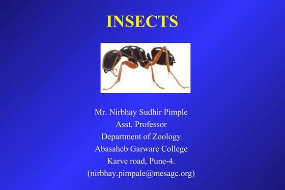 Introduction to Entomology | PPTX | Beekeeping | Hobbies & Interests