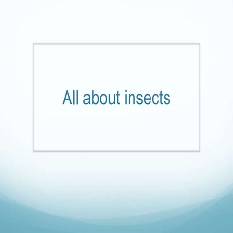 Insects | PPT
