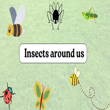 ESL Teaching INSECTS for young learners. | PDF | Beekeeping | Hobbies ...