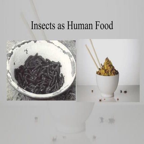 Insects as human food | PDF