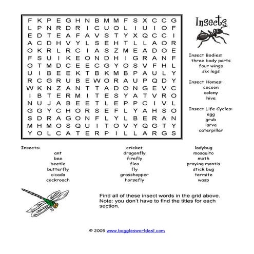 Insect search | DOC