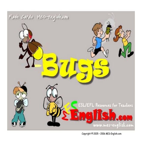 Insects in english (insetos em inglês) | PPT