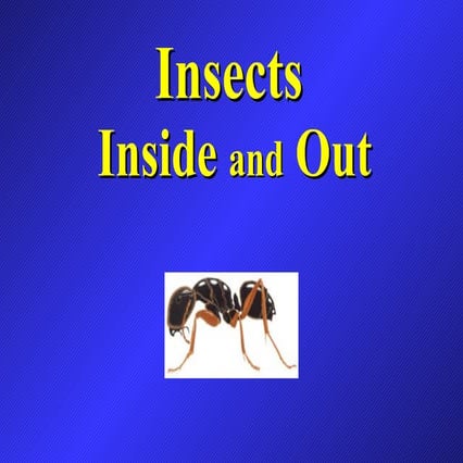 Insects in out | PPT
