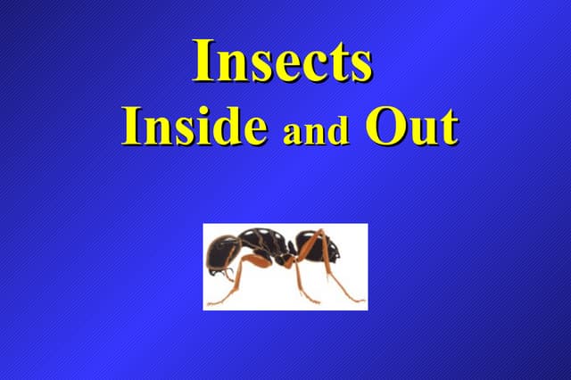 Offense and defense behavior in insects | PPTX