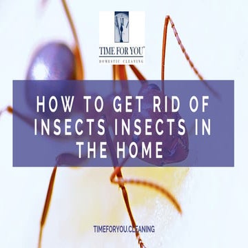 Pest_Control_Crawling_Insects_and_Recommendations.pptx