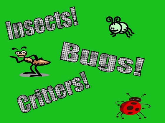 Insects Powerpoint | PPT
