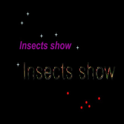 Insects show | PPT