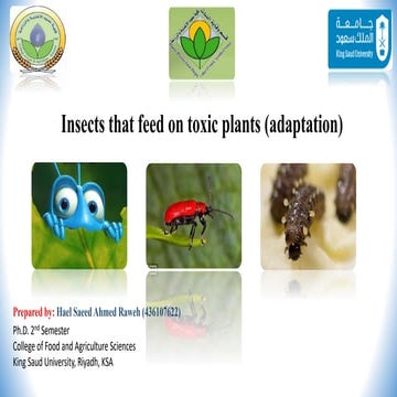 Insects that feed on toxic plants (adaptation) | PPT