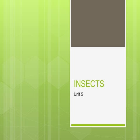 Insects unit 6 4th grade | PPTX