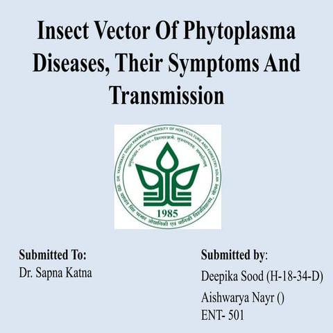 Insect Vector Of Phytoplasma Diseases, Their Symptoms.pptx