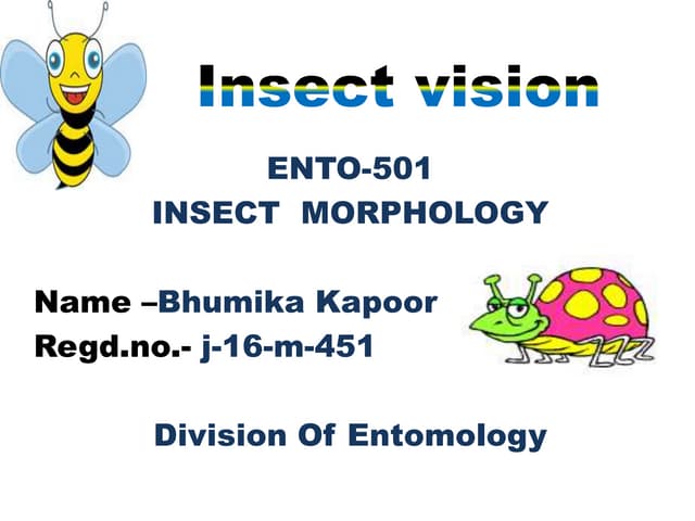 sense organs in insects | PPTX