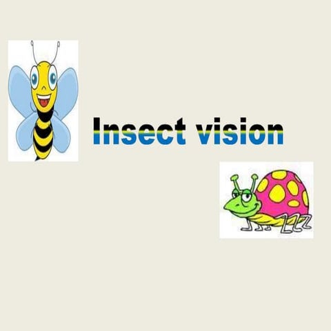 insect vision, entomology, insect eye facet | PPTX