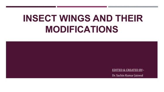 Insect Wing Venation, Wing coupling apparatus: its structure, function ...