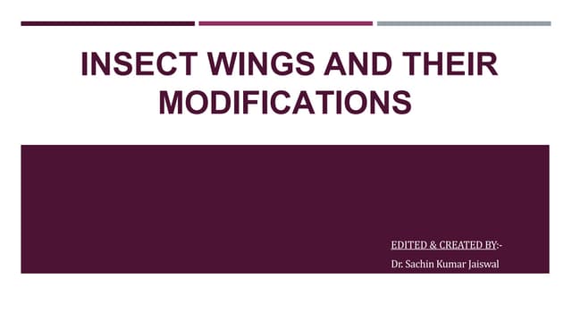 Types of insect wings | PPTX