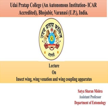 Insect wing, their modifications and wing coupling mechanism | PPTX