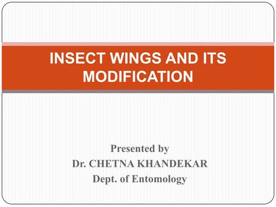 Insect Wings, Structure and their Modifications | PPTX | Birdwatching ...