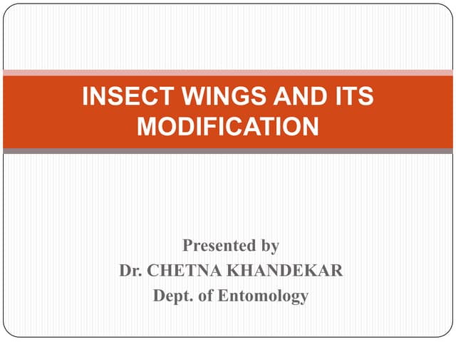 Types of insect wings | PPTX