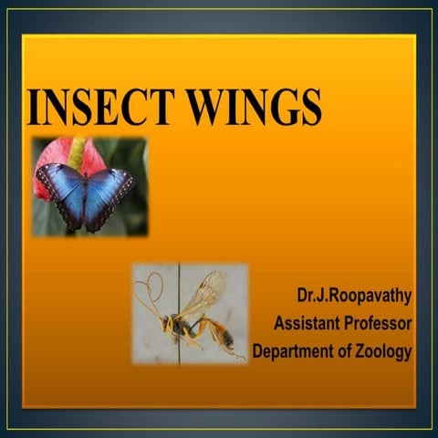 Insect wing, their modifications and wing coupling mechanism | PPTX