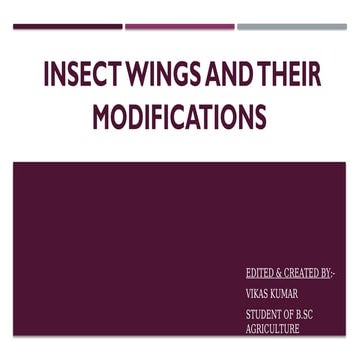 insectwingsandtheirmodifications-210520084425.pptx