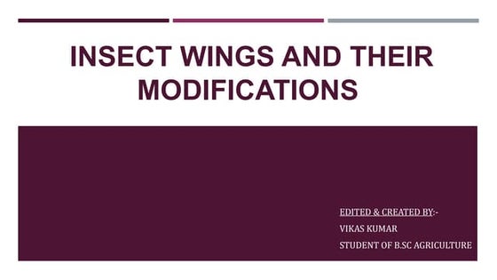 Insect head:- it’s origin, structure, function and modification in ...