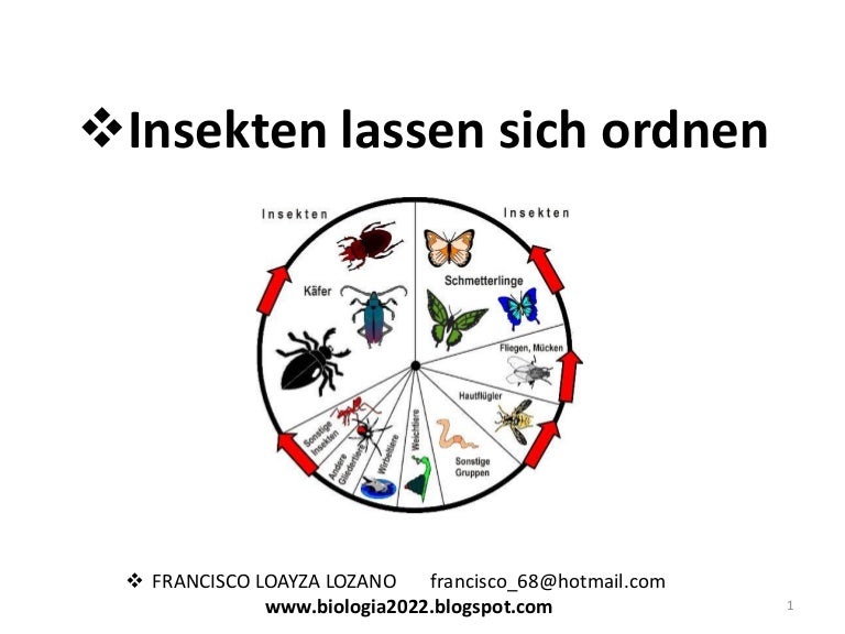 Insekten