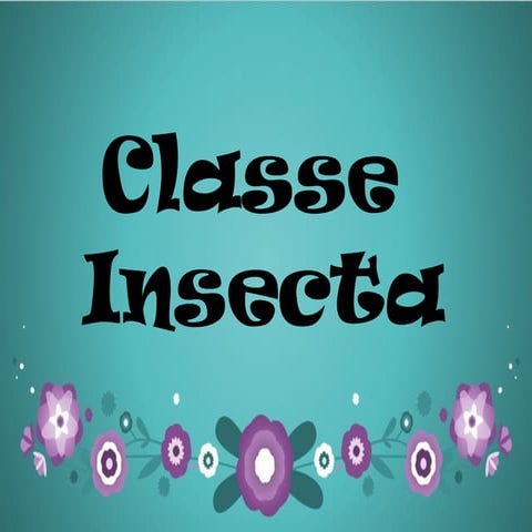 classe insecta.Bio