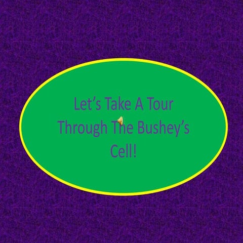 Inside The Bushey Cell | PPTX | Biological Sciences | Science