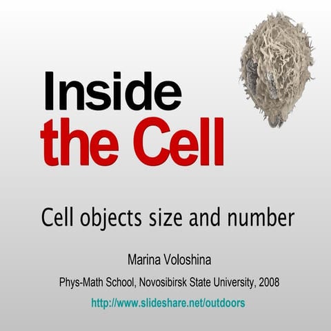 Inside The Cell | PPT