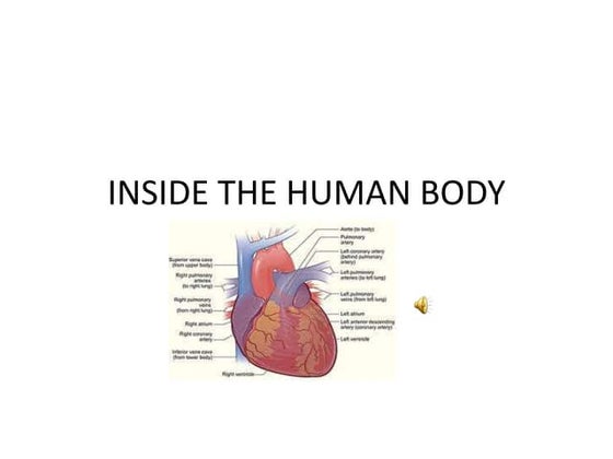 Writing to inform | PPTX | Books and Literature