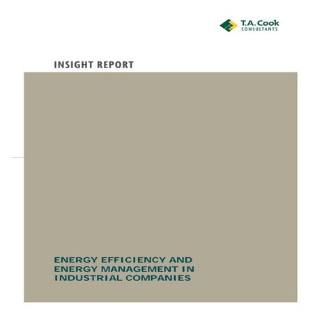 INSIGHT REPORT Energy Efficiency | PDF | Free Download