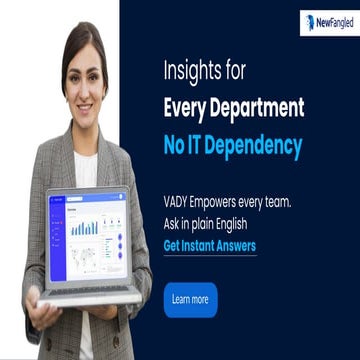 VADY AI: The Ultimate Security-First AI Analytics Platform | PDF