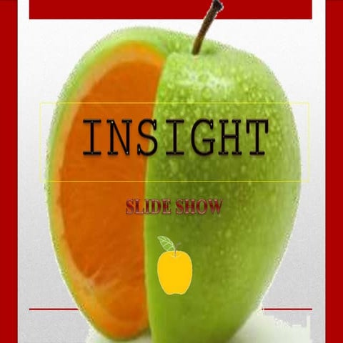 Insight slide show | PPT