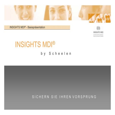 Insights Profile | PDF