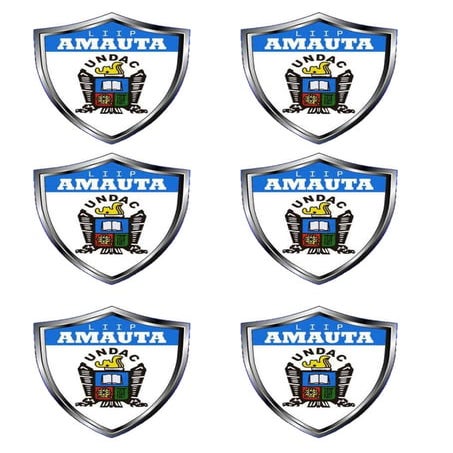 Insignia Amauta Cerro de Pasco | DOCX