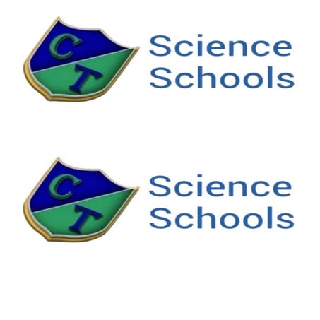 Insignia sciencie school.docx